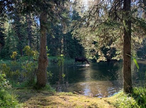 Blog Innovative Mapping Of Groundwater Dependent Ecosystems Canadian Conservation And Land