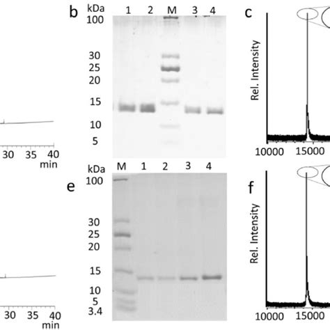A Hplc Chromatogram Of 150 μg·ml −1 Lysozyme In Phosphate Buffer Ph Download Scientific