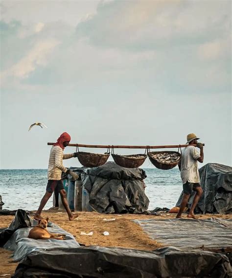 Sri 🟣 අද කාලගුණය තද වැසි පිළිබඳ අවවාද තද වැසි පිළිබඳ අවවාදාත්මක නිවේදනයක් කාලගුණවිද්‍යා