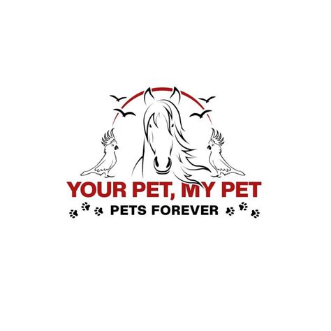 Entry 274 By Barsume For Modernize And Simplify Existing Logo Freelancer