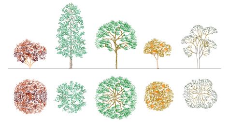 Tree Block Cadbull