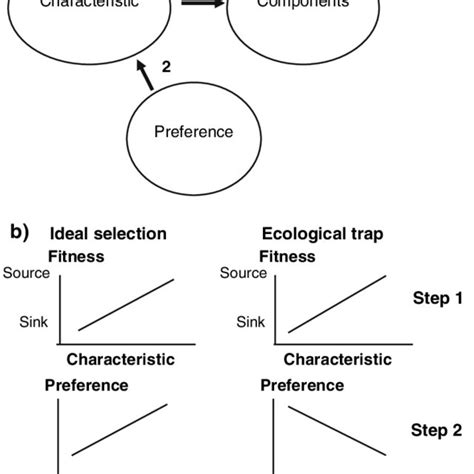 The Two Step Individual Model Of Habitat Selection By Northern Download Scientific Diagram