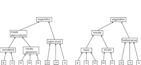 Two Hierarchical Thematic Spaces Download Scientific Diagram
