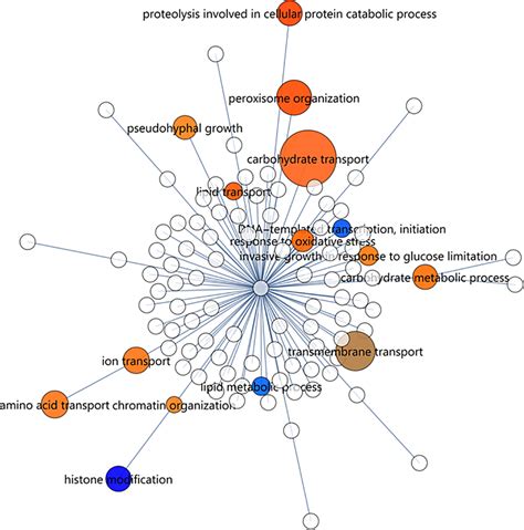 Gene Set Enrichment Map Of Rna Seq Data Using The Go Slim Yeast