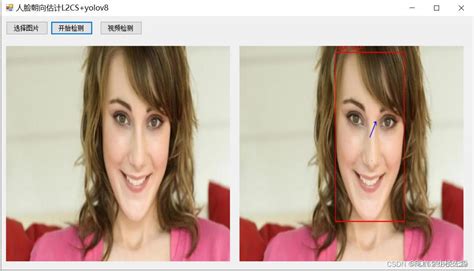 C Opencvsharp结合yolov8 Face实现l2cs Net眼睛注视方向估计或者人脸朝向估计定位眼睛的注视方向 Matlab