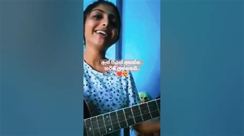 ඇස් පියන් අහන්න හරිම ලස්සනයි ගිම් හානයේ පාවේලා 😍 Sinhala Trending Srilanka Lanka Youtube