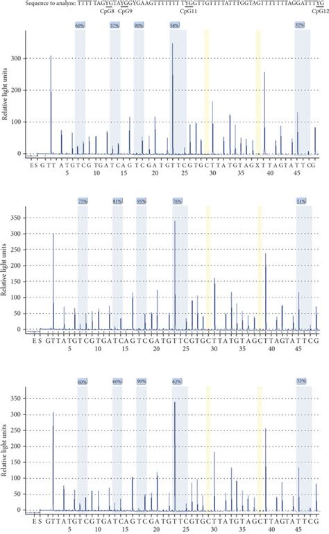Detection Of Klotho Promoter Methylation Level In The Kidney Tissues Of