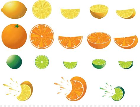 Как нарисовать дольку апельсина