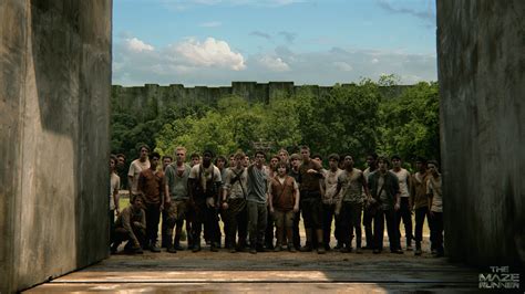 The Maze Runner Set 50 Things I Learned While In The Glades