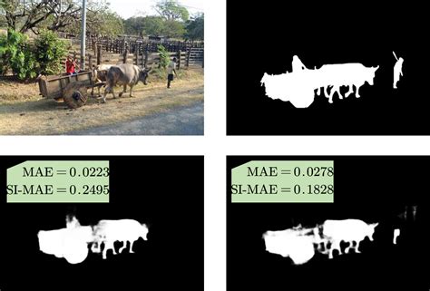Size Invariance Matters Rethinking Metrics And Losses For Imbalanced Multi Object Salient