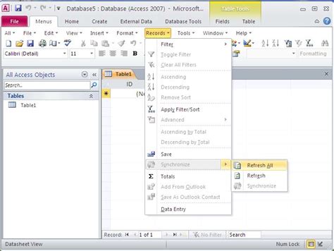 Screen Shots For Classic Menu For Access 2010
