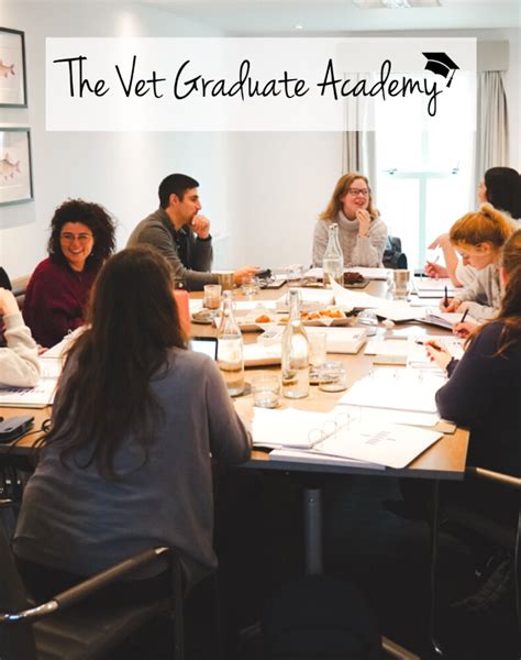 Dynamic Teams Vet Dynamics