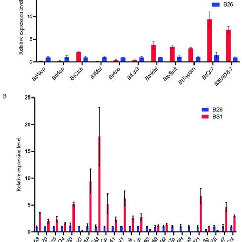 Real Time Quantitative Pcr Rt Qpcr Validation For Expression Of The Download Scientific