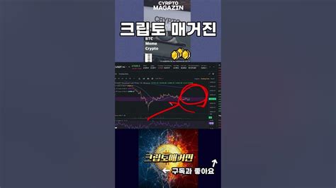 시바이누코인 전망 하락장은 오히려 기회 시바이누 비트코인 밈코인 뉴스 Youtube
