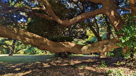 Cobol言語の「low Value」の使い方について理解しよう！｜用語辞典 ｜ Cobol入門サイト