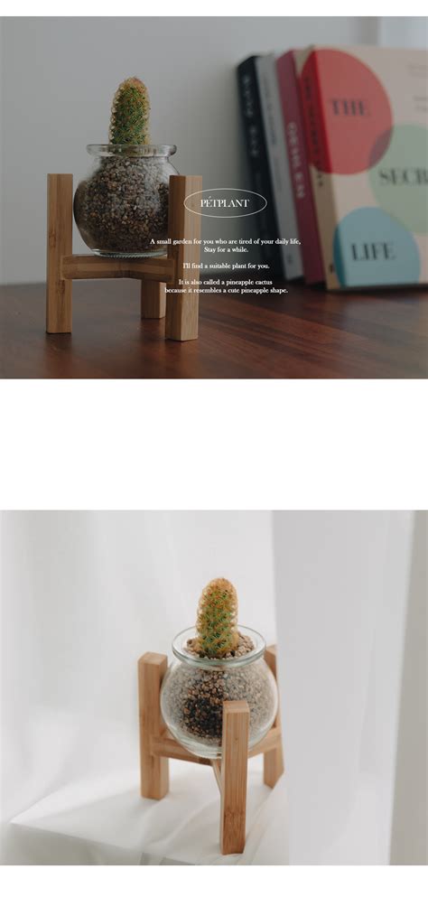 황금사 미니 항아리유리 우드다리세트 감도 깊은 취향 셀렉트샵 29cm