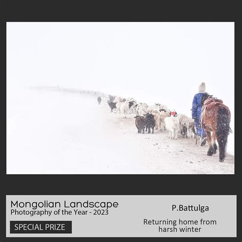 Ergelt Mn Монгол улсын Ерөнхийлөгчийн ивээл дор Монголын