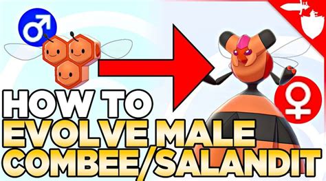 Video Pokemon Sword Shield Bug Allows Players To Evolve Male Combee And Salandit NintendoSoup