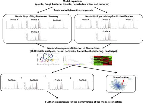 Figure 1 From Metabolomics A Robust Bioanalytical Approach For The Discovery Of The Modes Of