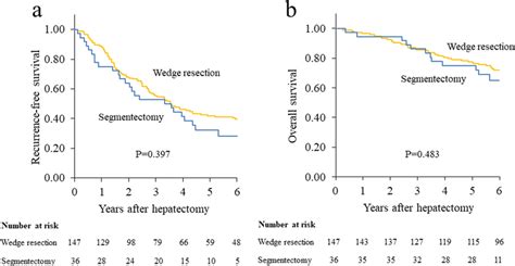 Recurrence Free Survival Rfs And Overall Survival Os Of Patients Download Scientific