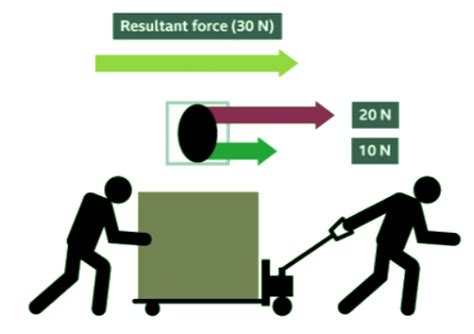 Force Diagrams And Resultant Forces Year 7 Pdf Download
