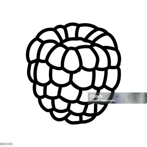 레드 라즈베리 익은 과일 라인 아이콘 벡터 일러스트 레이 션 가득 찬에 대한 스톡 벡터 아트 및 기타 이미지 가득 찬 검은색 과일 Istock