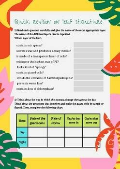 Leaf Structure Revision Activity By The Breaching TPT