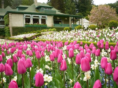 세계의 정원 ~캐나다 부차드가든~ 네이버 블로그