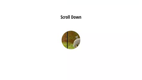 Create Transform Effects On Scroll Image With HTML CSS