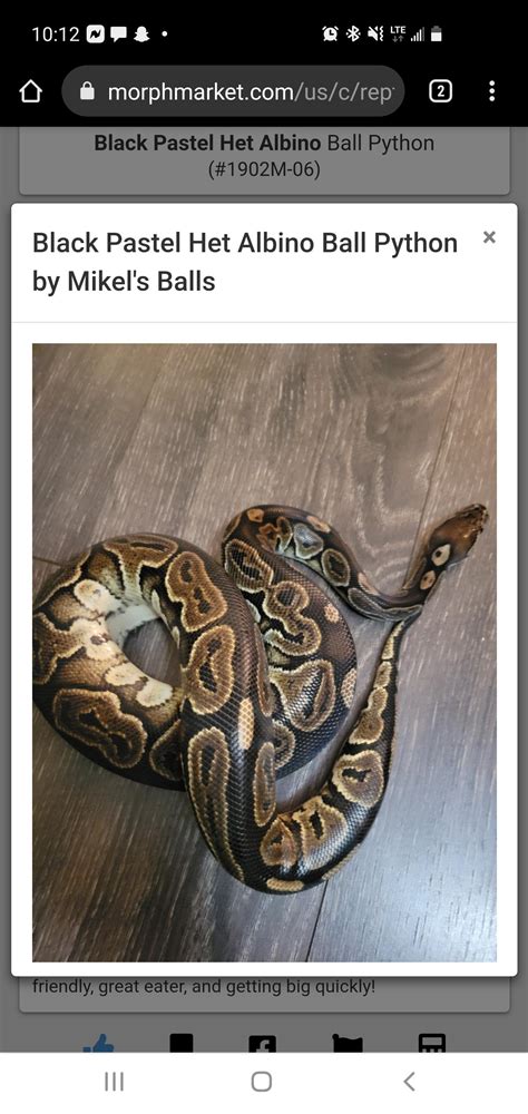 Running Python Script In Interactive Window Error No Kernel Connected