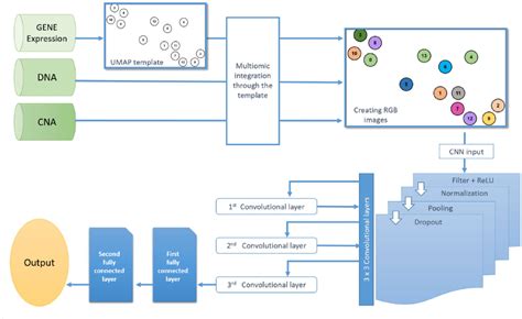 figure 1 from multi omics data integration model based on umap
