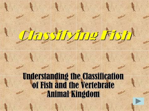 Ppt Understanding Fish Classification In The Vertebrate Animal