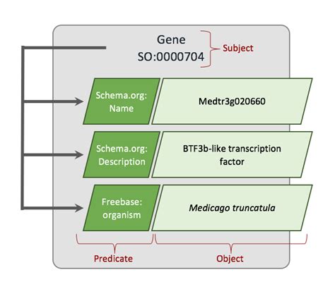 Tripal Data Structures — Tripal 7x 3x Documentation