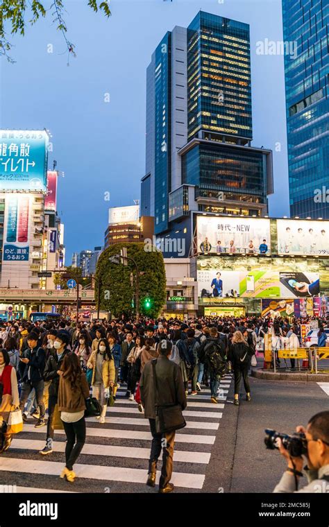 Scramble Crossing Tokyo Shibuya Crossing Japan Dwxh