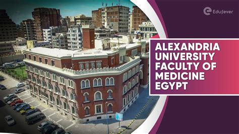 alexandria university faculty of medicine egypt 2025 26 ranking