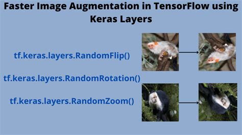 Tutorial Faster Image Augmentation In Tensorflow Using Keras Layers