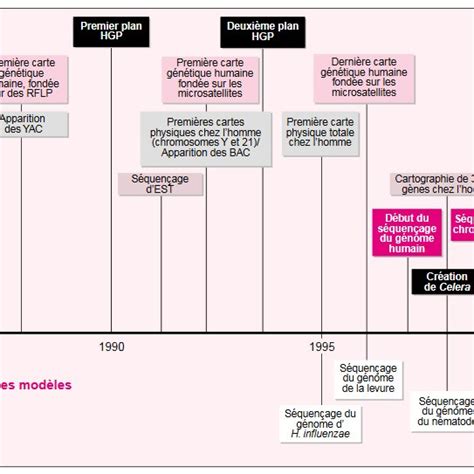 Visualisation Dun Fichier Bam Avec Le Logiciel Igv Integrative Genome Download Scientific