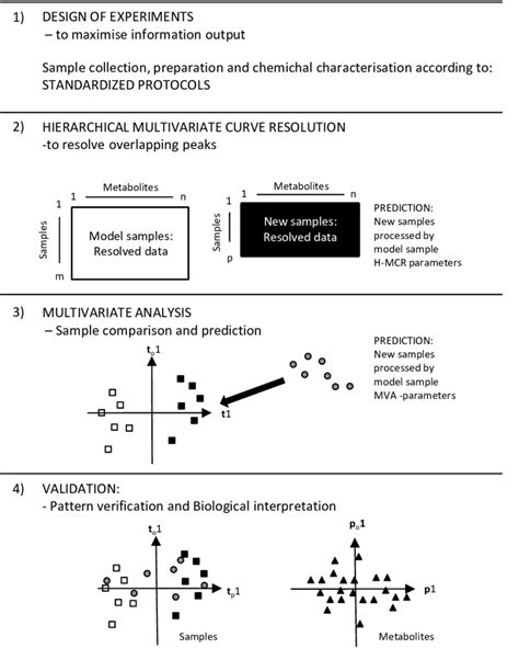 Schematic Diagram Detailing The Predictive Metabolomics Strategy 1