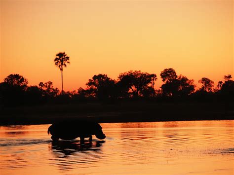 Beautiful Botswana - Matson & Ridley Safaris