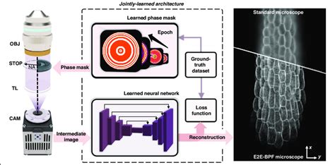 Operating Principle Of E2e Bpf Microscopy An Axi Symmetric Bpf And Download Scientific Diagram