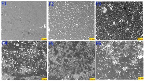 Micrographs Of The Biocomposite Films With 50 µm Magnification For