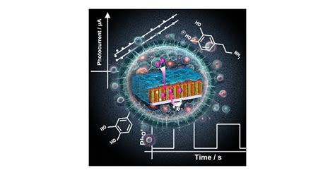 Hydrogelmof Dual Modified Photoelectrochemical Biosensor For