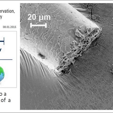 Left Commonly Used Analogy Introducing The Size Of The Nanodimension Download Scientific
