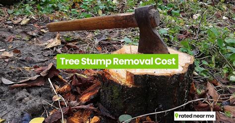 How Much Is Tree Stump Removal Stump Grinding Cost Guide