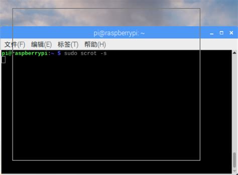 树莓派截图方法 csdn博客