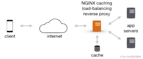 网络基础以及nginx实现反向代理nginx镜像反向代理 Csdn博客