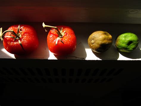 Chromatic Variations On The Side Of Life Cultural Daily