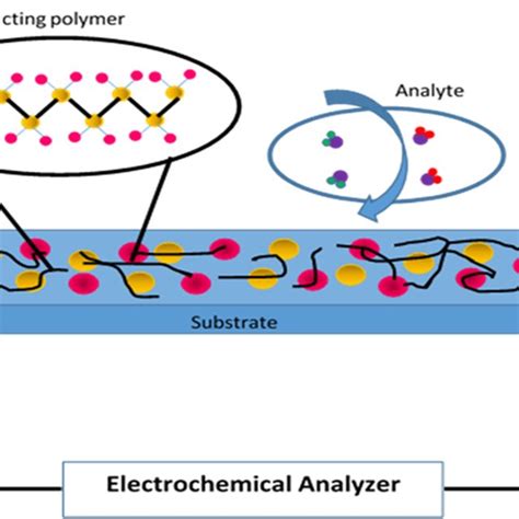 Examples Of Duck Shaped Cyclic Voltammograms [49] Reproduced With Download Scientific
