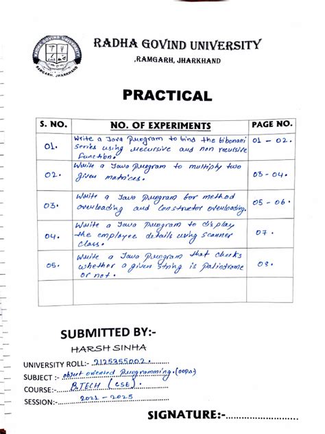Object Oriented Programming Experiments Practical Pdf Computer