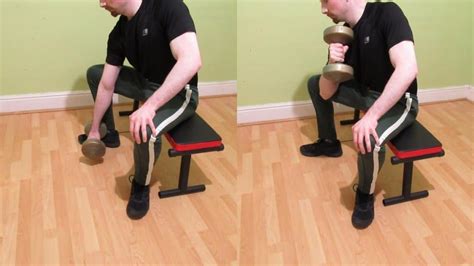 Concentration Hammer Curl Tutorial Benefits Variations